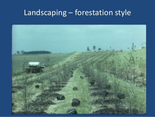 Roadside Beautification Opportunities (2015 Keep Iowa Beautiful Annua…