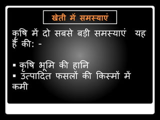 KICHAD AUR KHETI - hindi presentation on how to do farming in mud | PDF