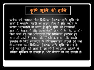 KICHAD AUR KHETI - hindi presentation on how to do farming in mud | PDF