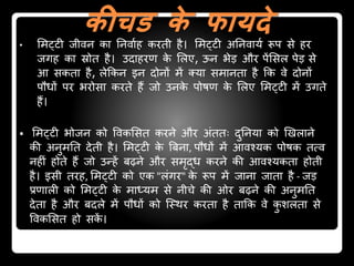 KICHAD AUR KHETI - hindi presentation on how to do farming in mud | PDF