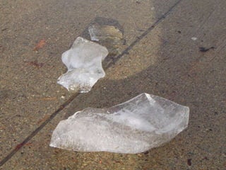 Professor Anthony Guiffre and Chef Jerry Ryan | PPT