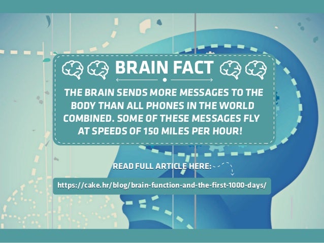 THE BRAIN SENDS MORE MESSAGES
