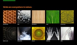 Grids are Everywhere | PDF