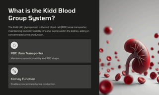 _Kidd-Blood-Group-System explained in ppt form pdf | PDF
