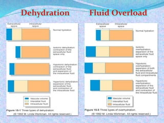 Kideney & body fluids | PPTX