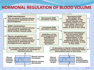 Kideney & body fluids | PPTX