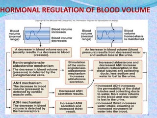 Kideney & body fluids | PPTX