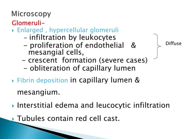 glomerular disease | PPTX