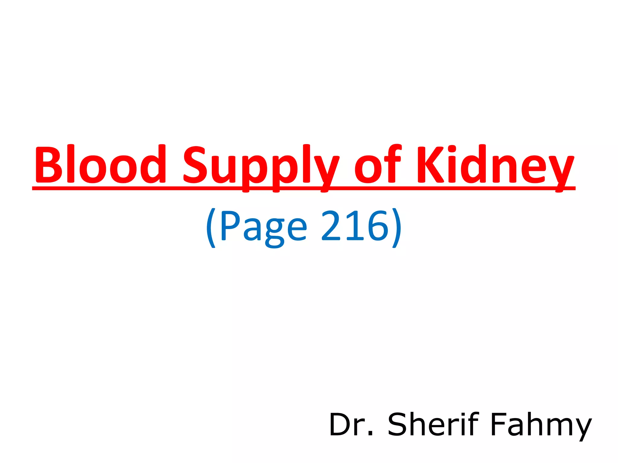 The Kidneys (Anatomy of the Abdomen) | PPS