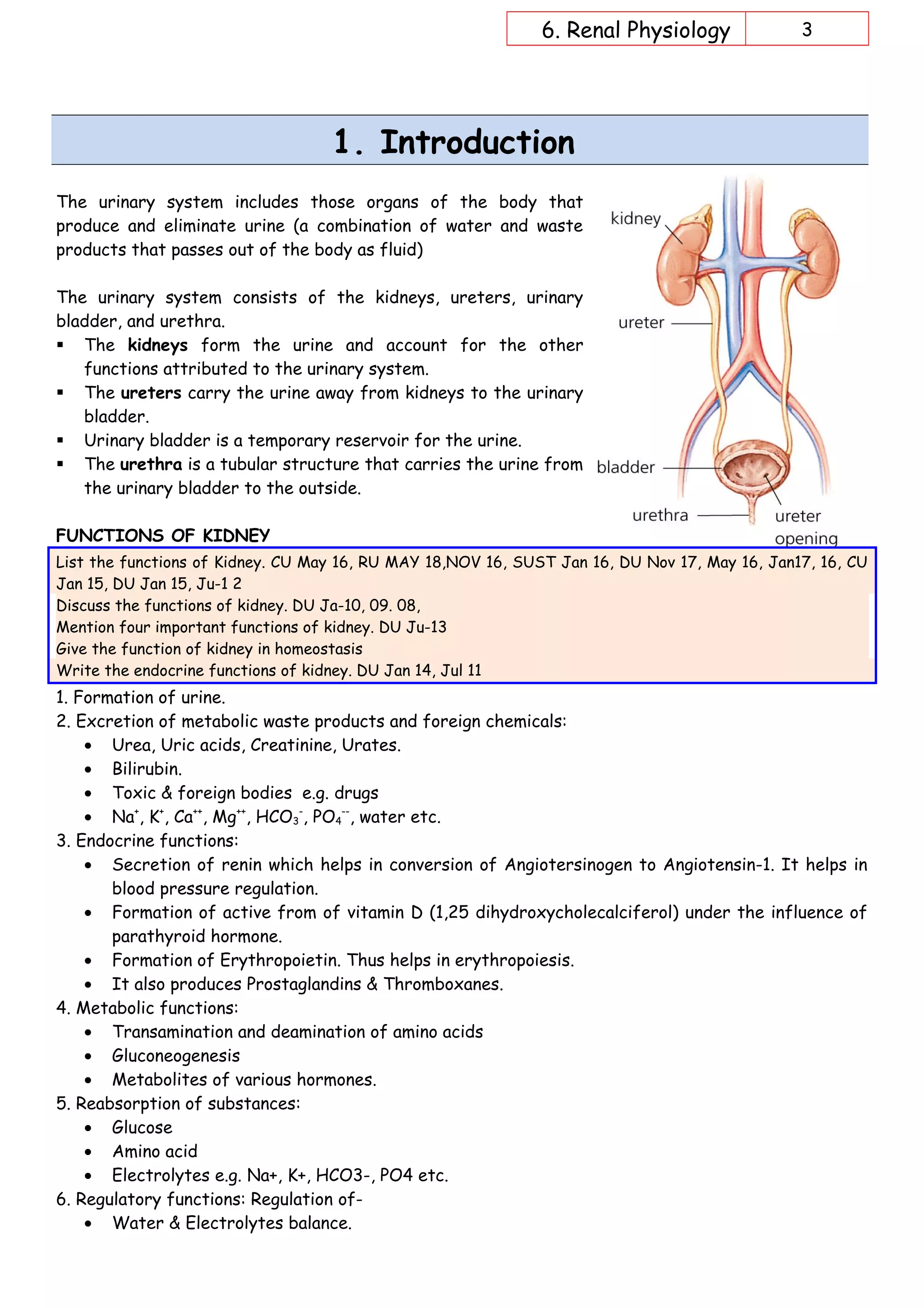 kidney | PDF