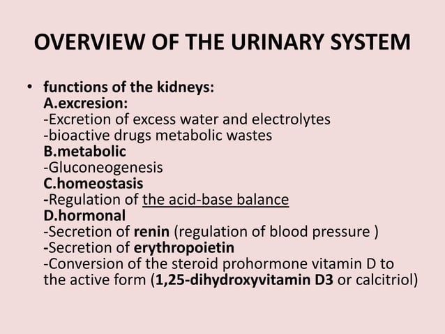 Histology of the Kidney part 1 | PPT