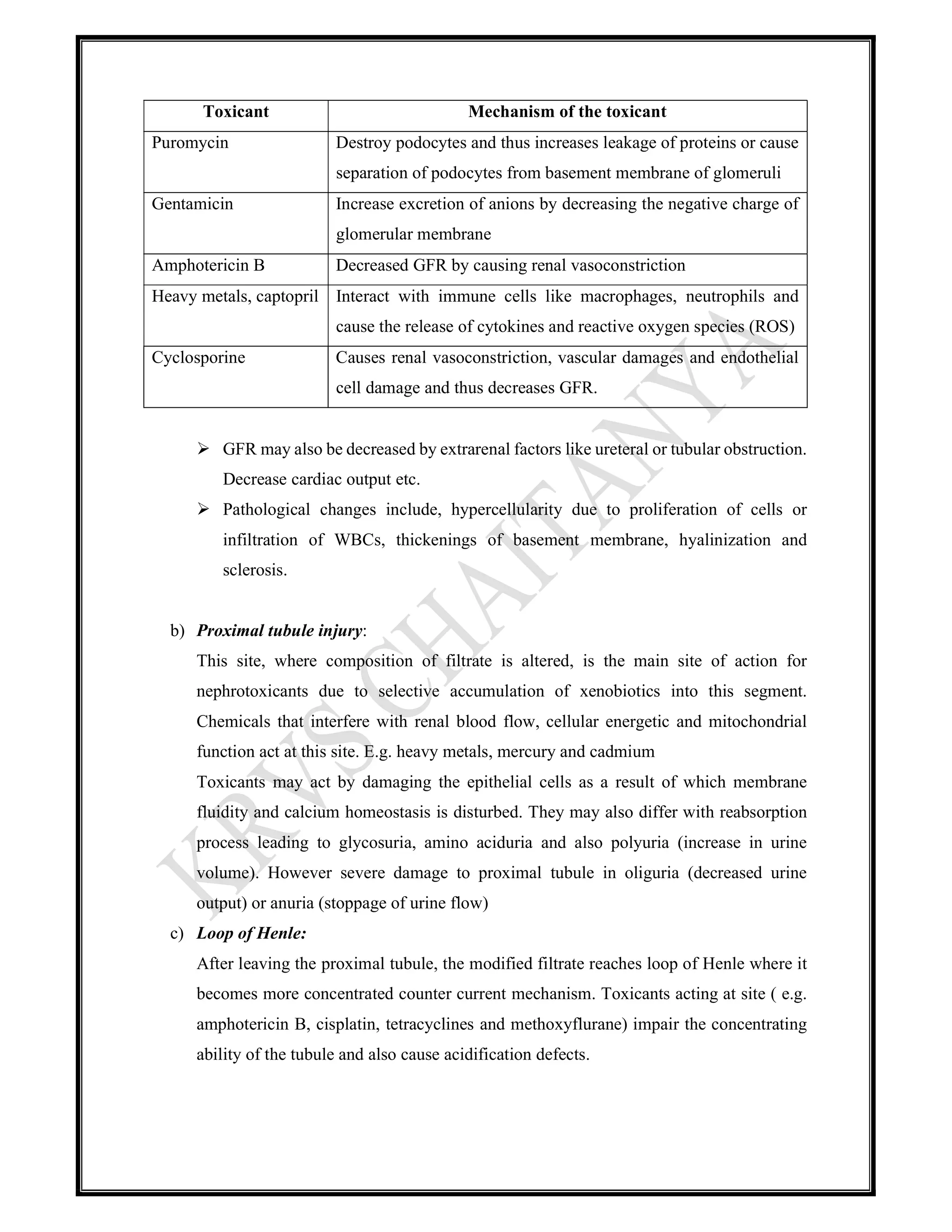 TOXIC RESPONSES OF KIDNEY | PDF