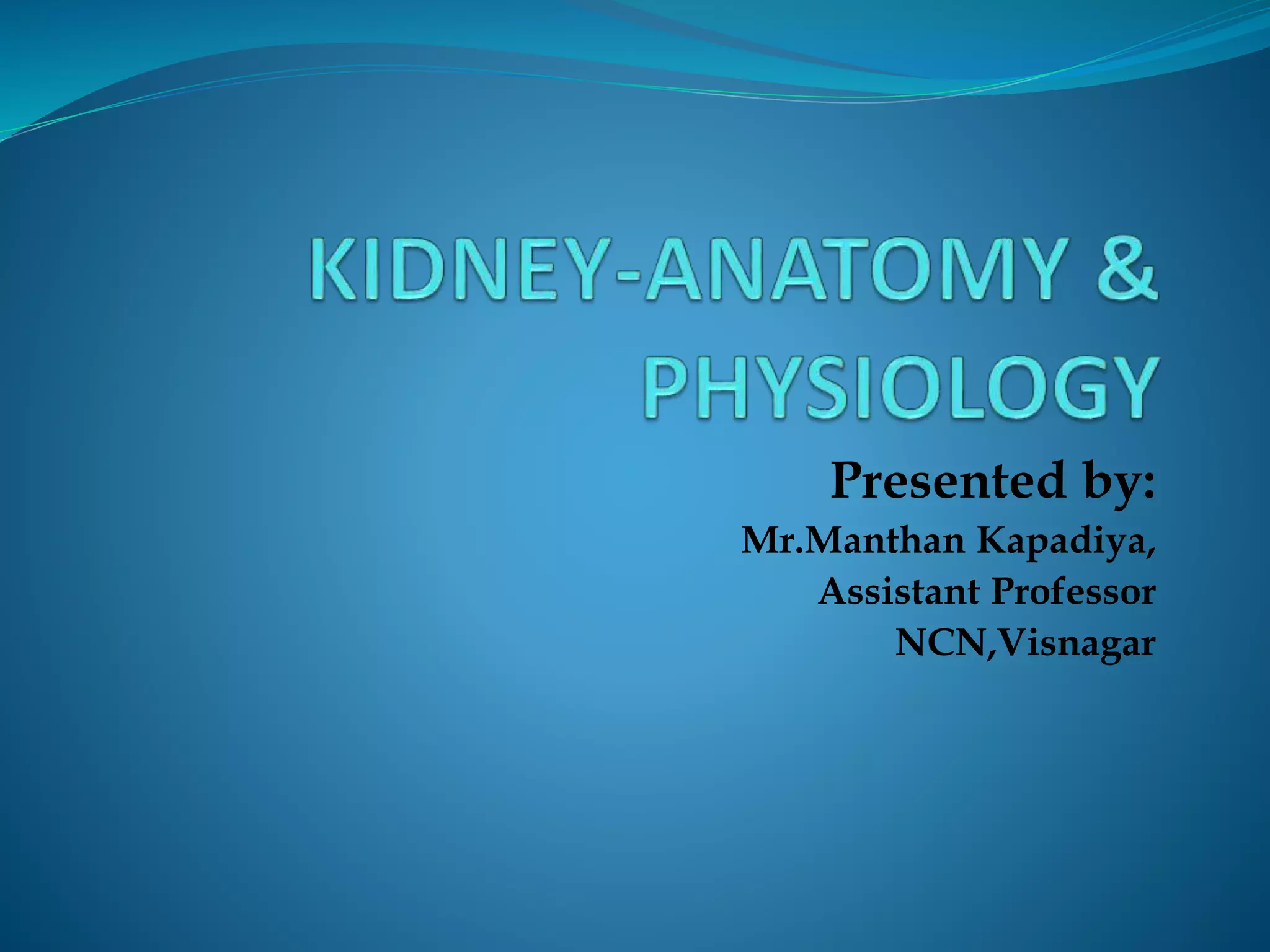 Kidney anatomy and physiology | PPTX