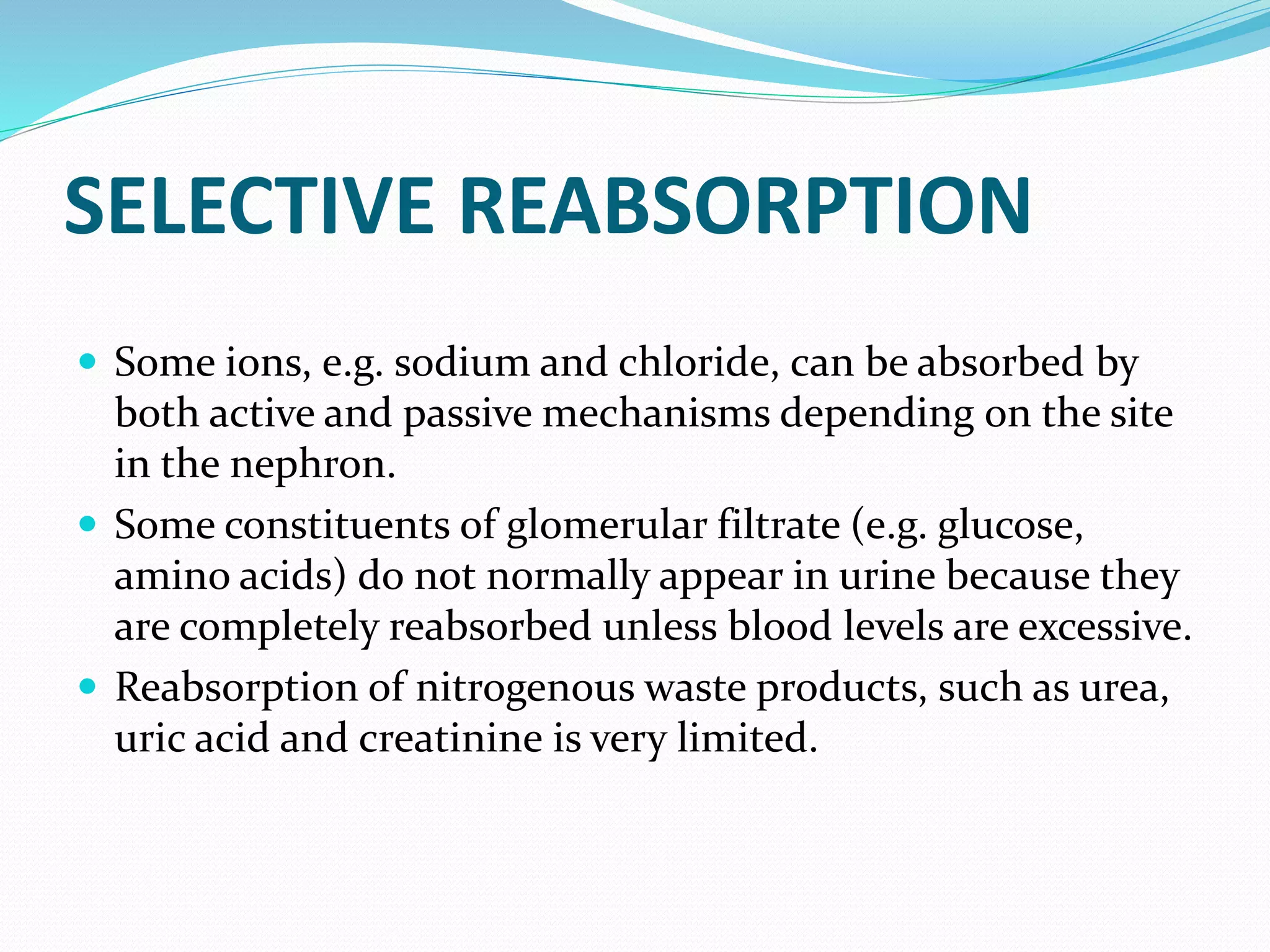 Kidney anatomy and physiology | PPTX