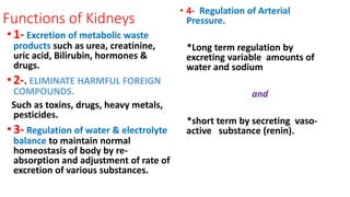 Kidney (STRUCTURE AND FUNCTIONS) (: The Guyton and Hall physiology) | PPTX
