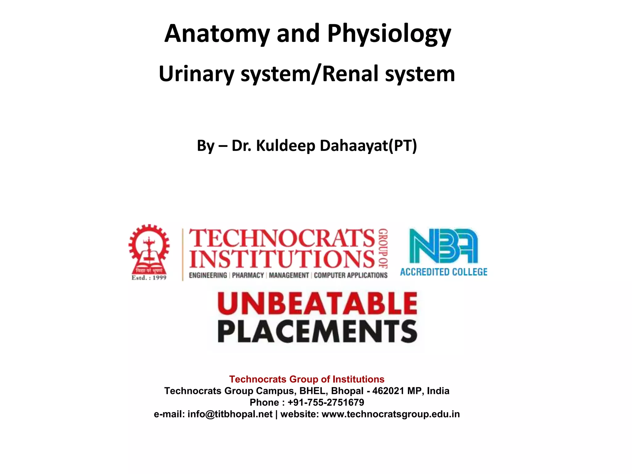 Urinary system | PPT