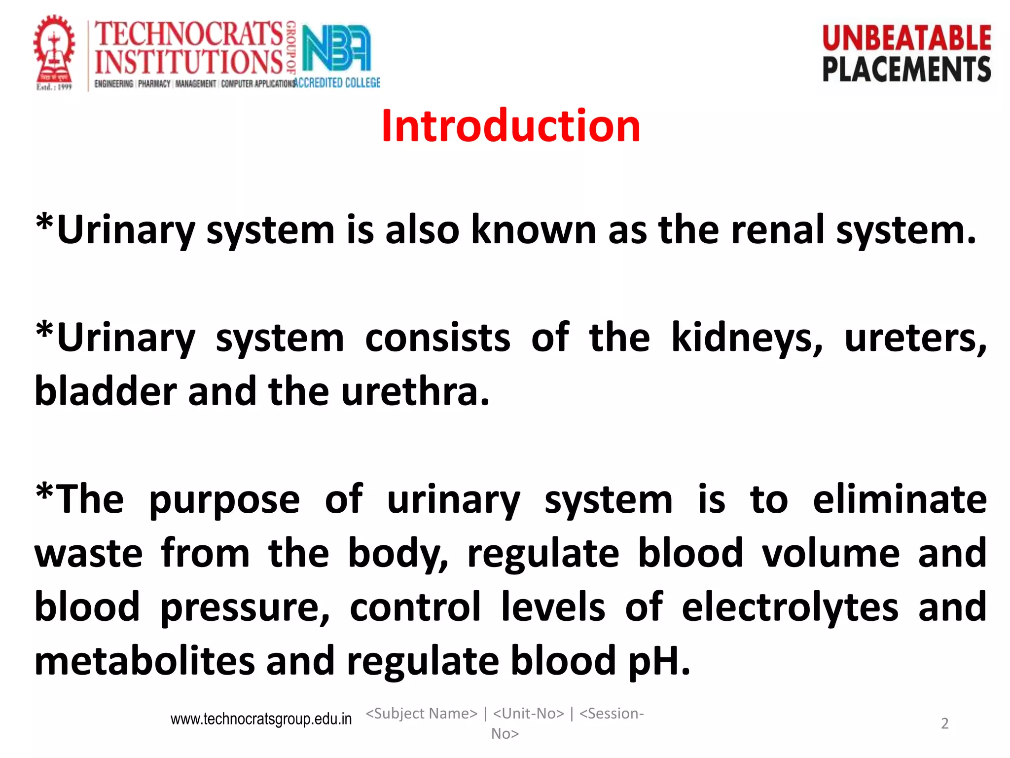 Urinary system | PPT