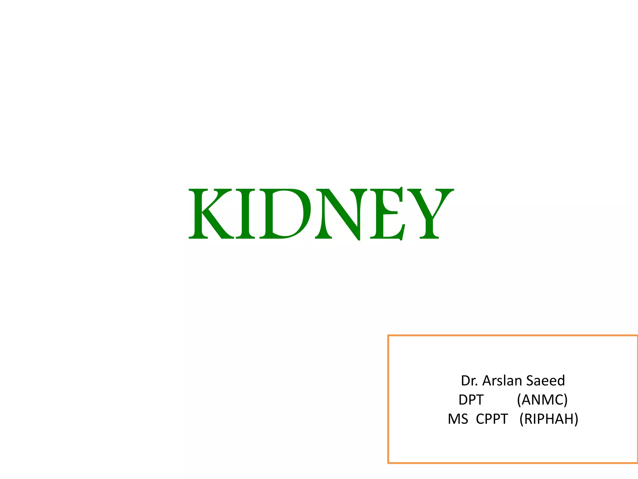 Kidney | PPTX