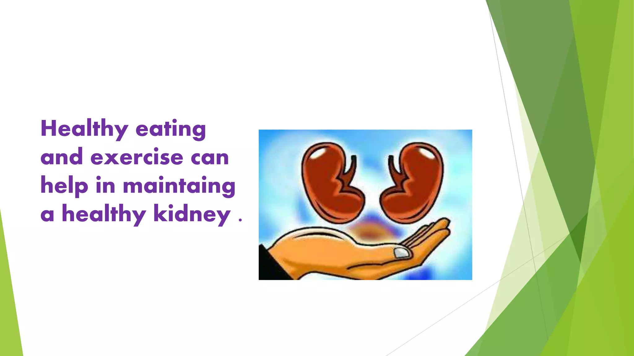 Kidney Level 8th standard | PPT