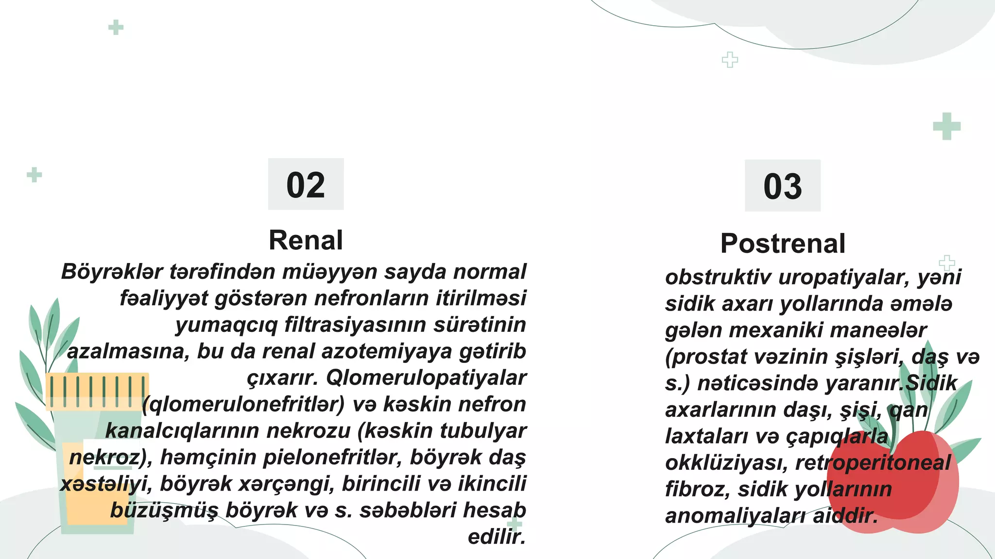 kidney.pptx