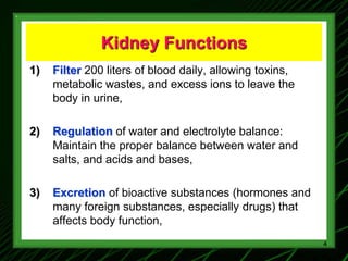 kidney.pptx | Endocrine and Metabolic Diseases | Diseases and Conditions