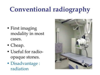 Imaging Anatomy of UT and some common Pathologies differences as a ...