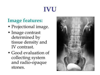 Imaging Anatomy of UT and some common Pathologies differences as a ...