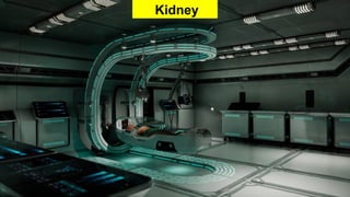 Working of Kidney and its Functions NCERT | PPTX