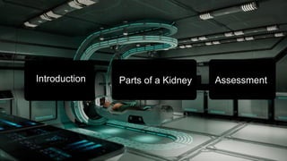 Working of Kidney and its Functions NCERT | PPTX