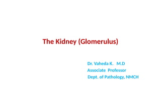 Renal histology and glomerular disorders | PPTX