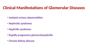 Renal histology and glomerular disorders | PPTX