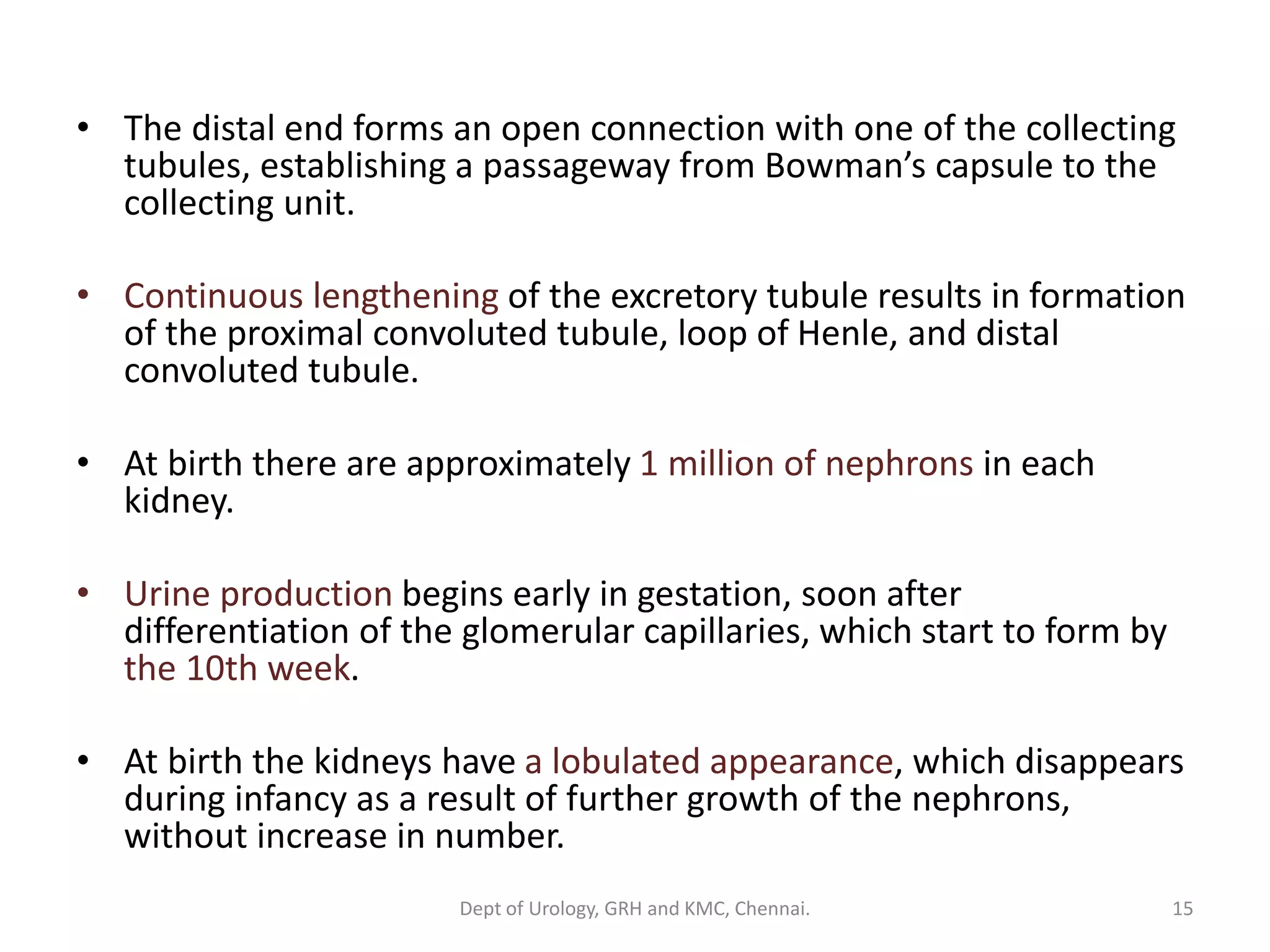 EMBRYOLOGY AND ANATOMY OF KIDNEY | PDF