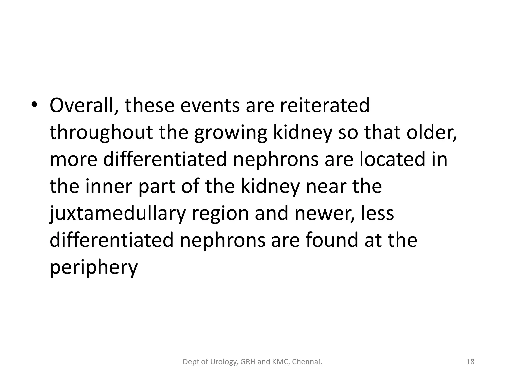 EMBRYOLOGY AND ANATOMY OF KIDNEY | PDF
