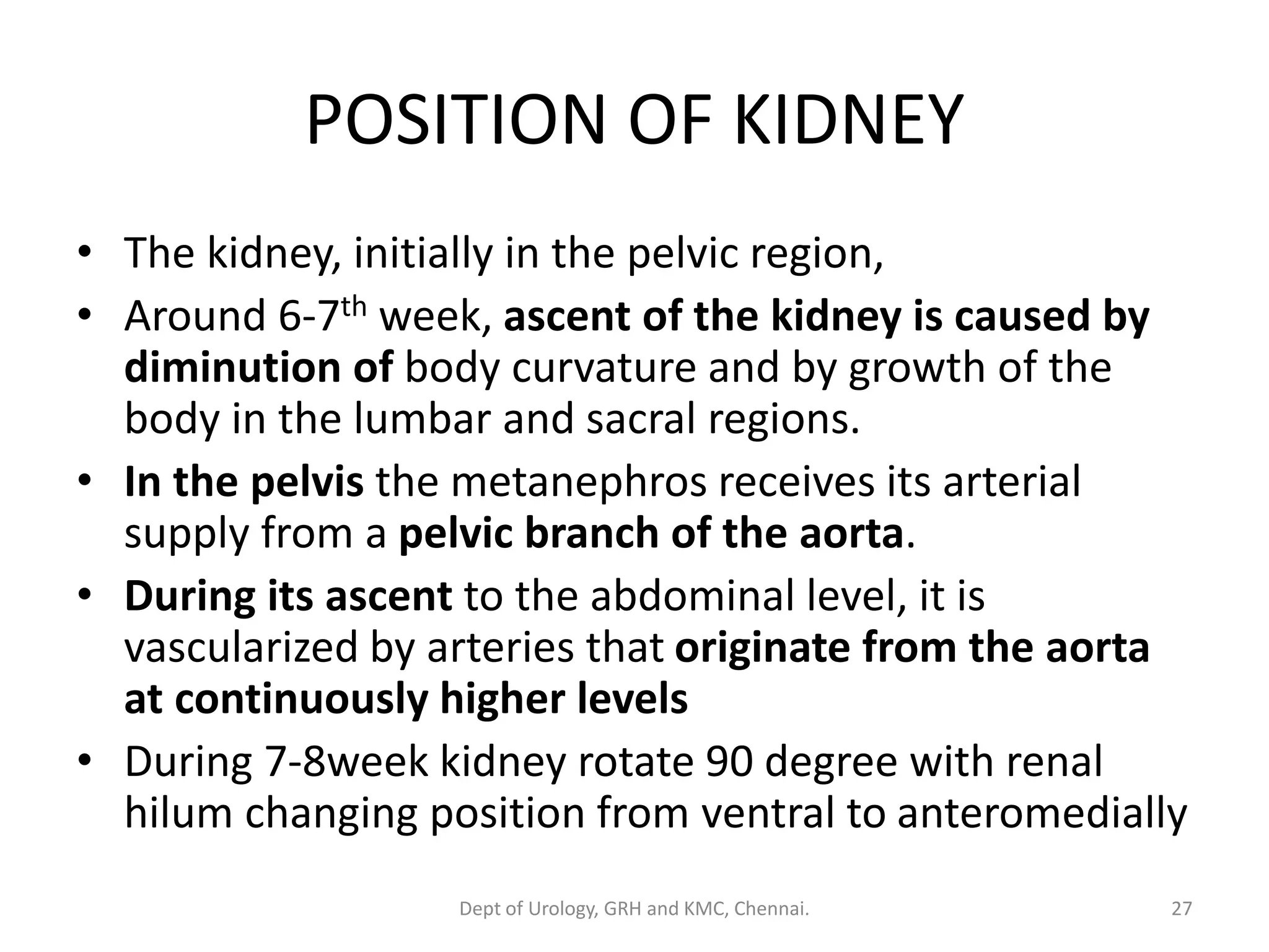 EMBRYOLOGY AND ANATOMY OF KIDNEY | PDF