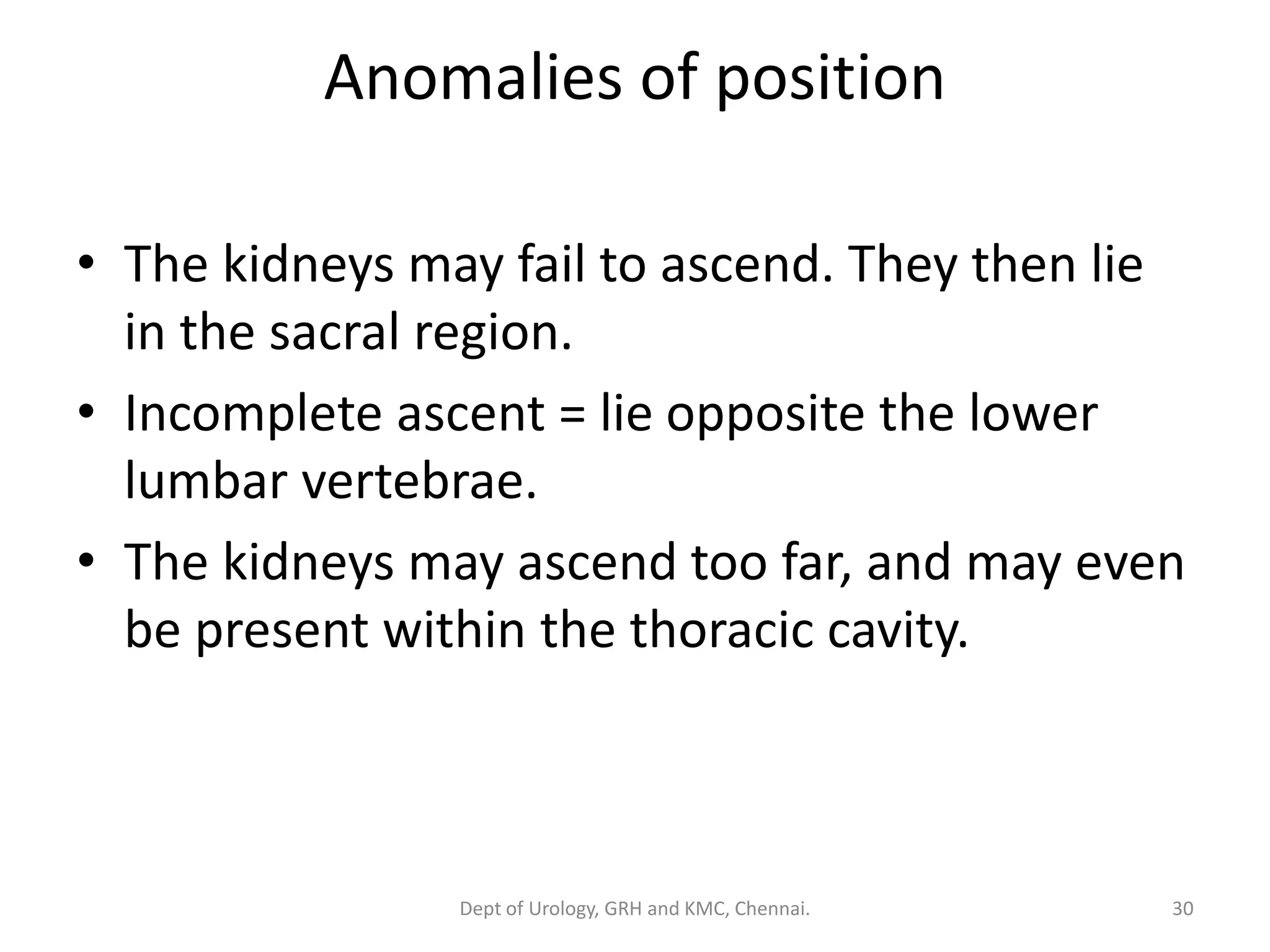 EMBRYOLOGY AND ANATOMY OF KIDNEY | PDF