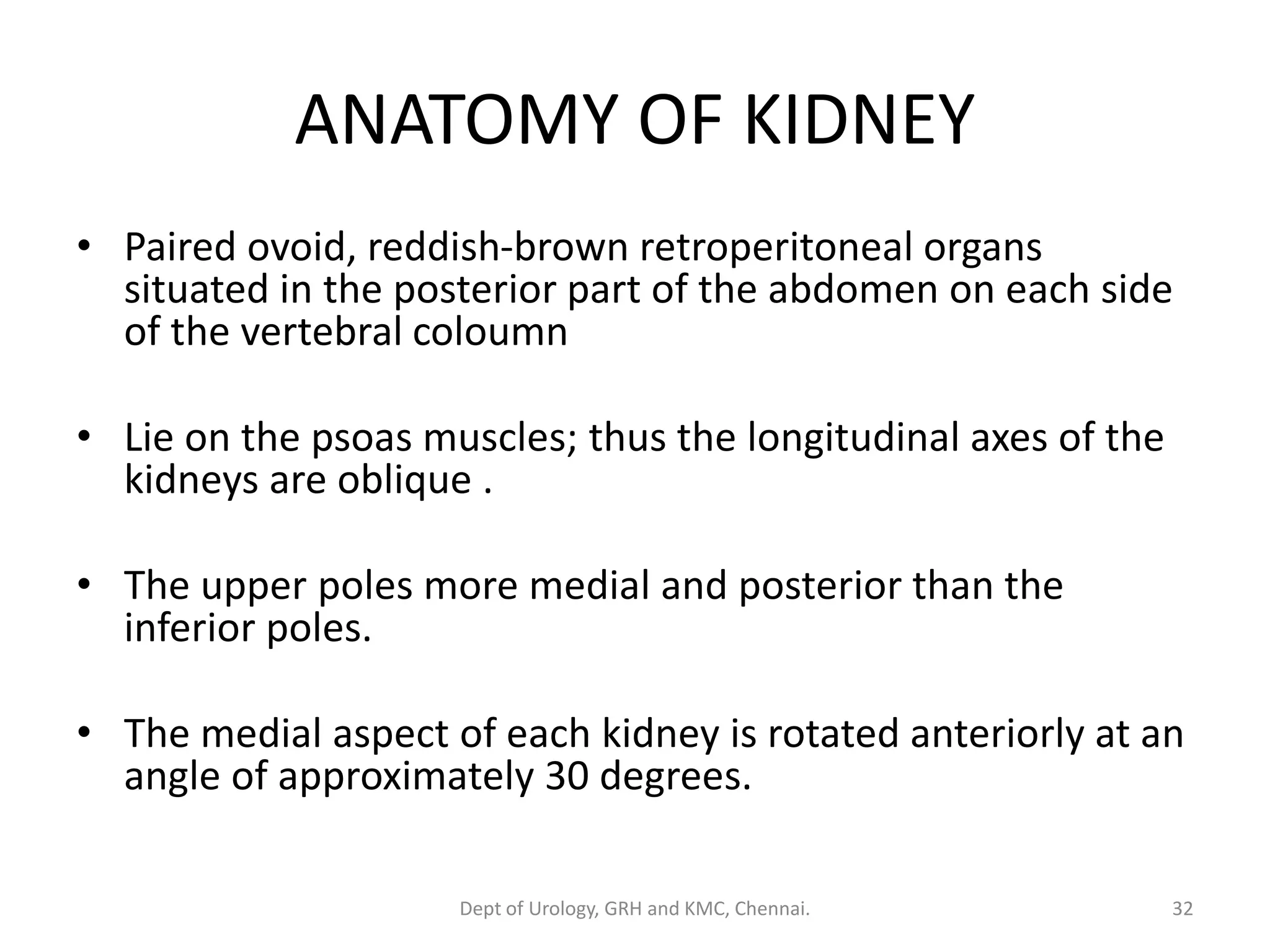 EMBRYOLOGY AND ANATOMY OF KIDNEY | PDF