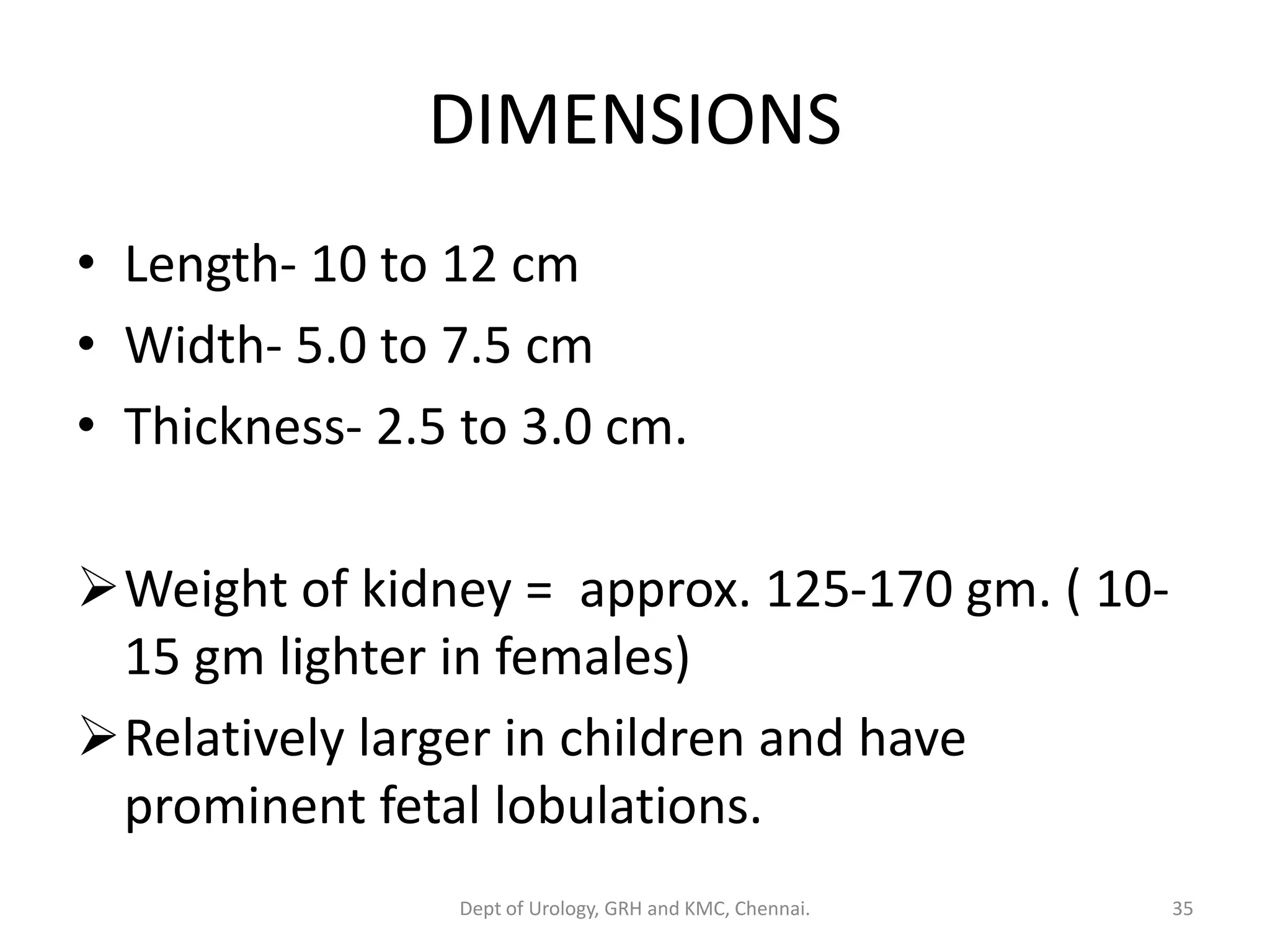EMBRYOLOGY AND ANATOMY OF KIDNEY | PDF