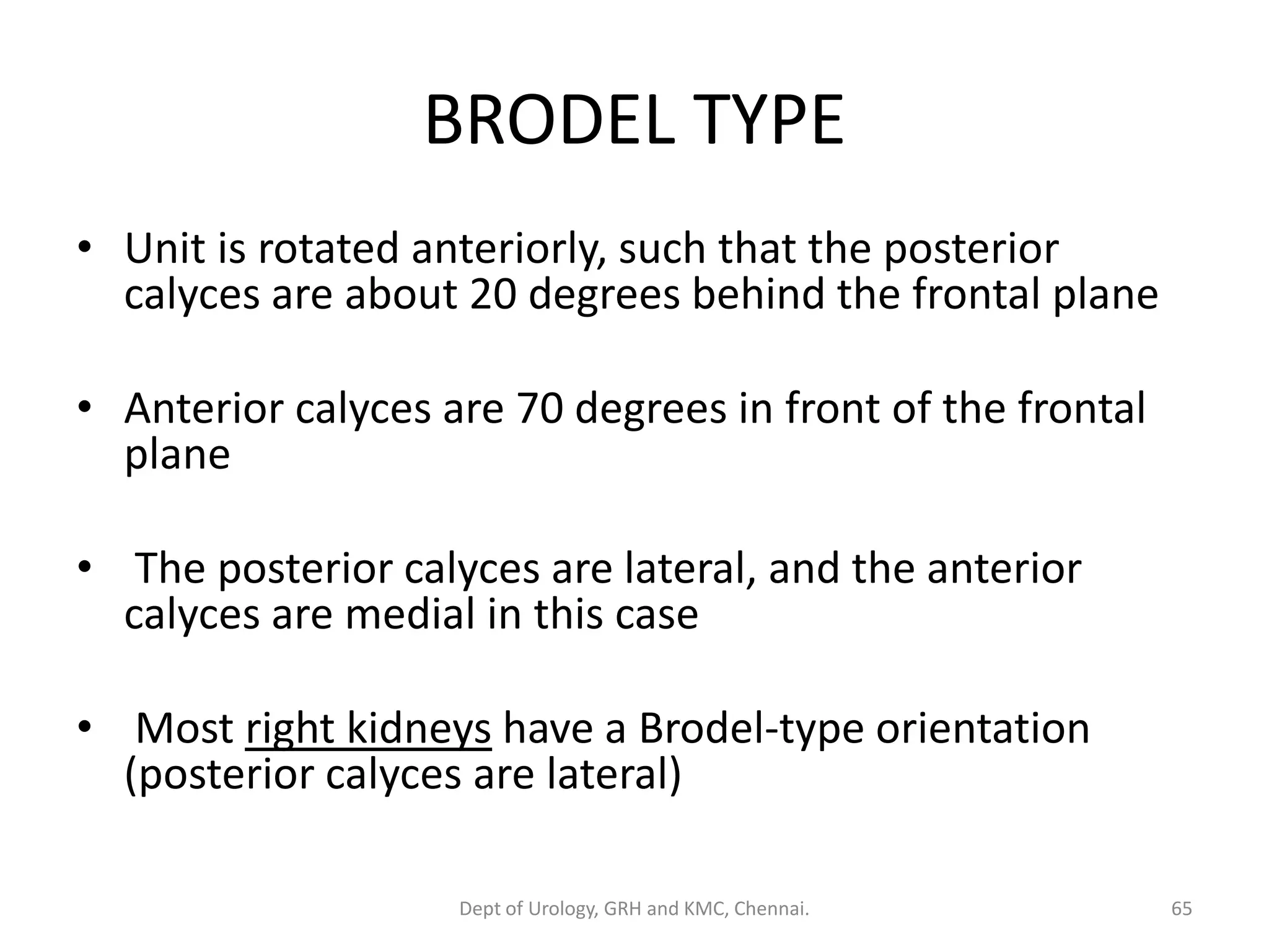 EMBRYOLOGY AND ANATOMY OF KIDNEY | PDF