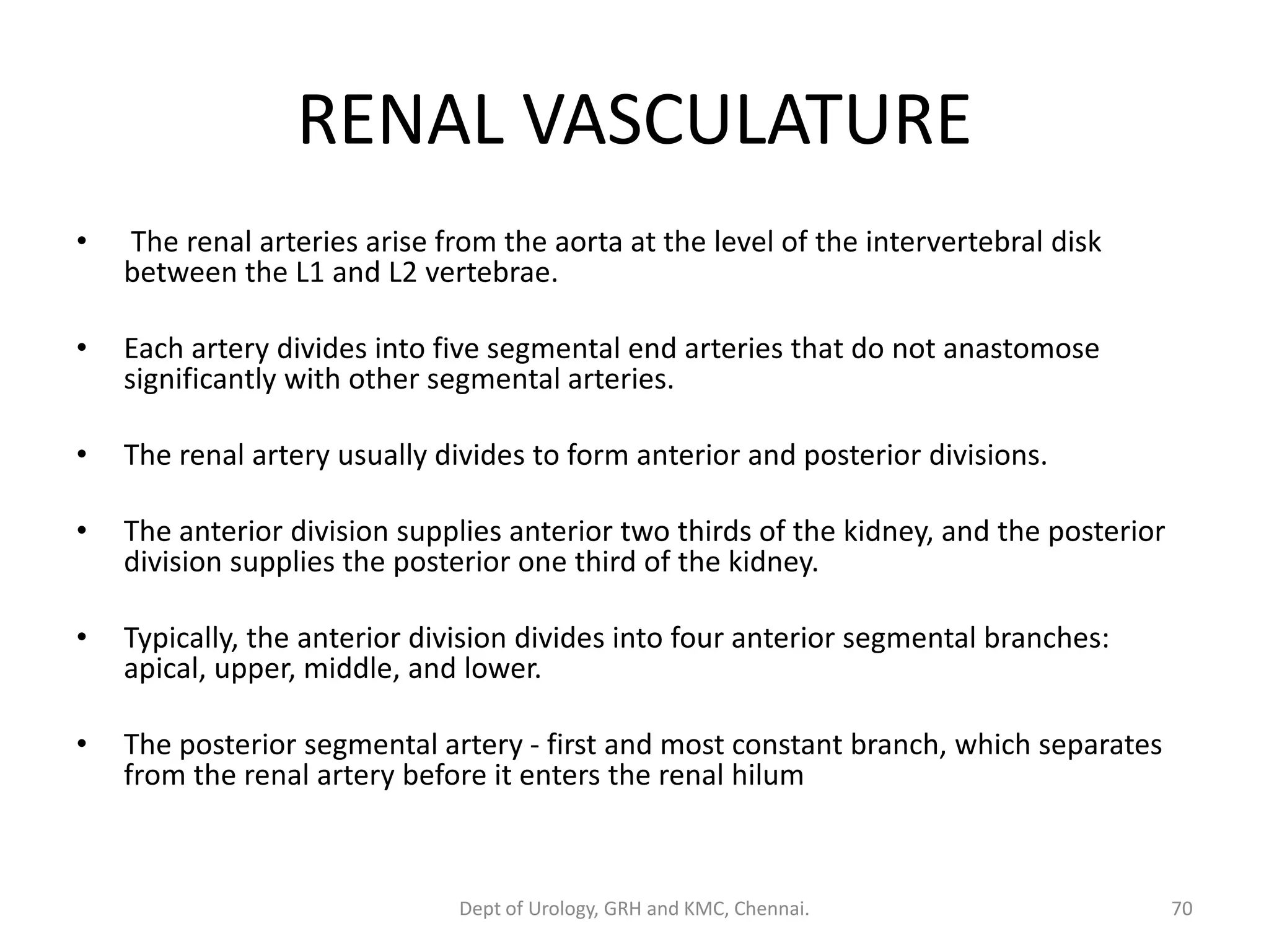 EMBRYOLOGY AND ANATOMY OF KIDNEY | PDF