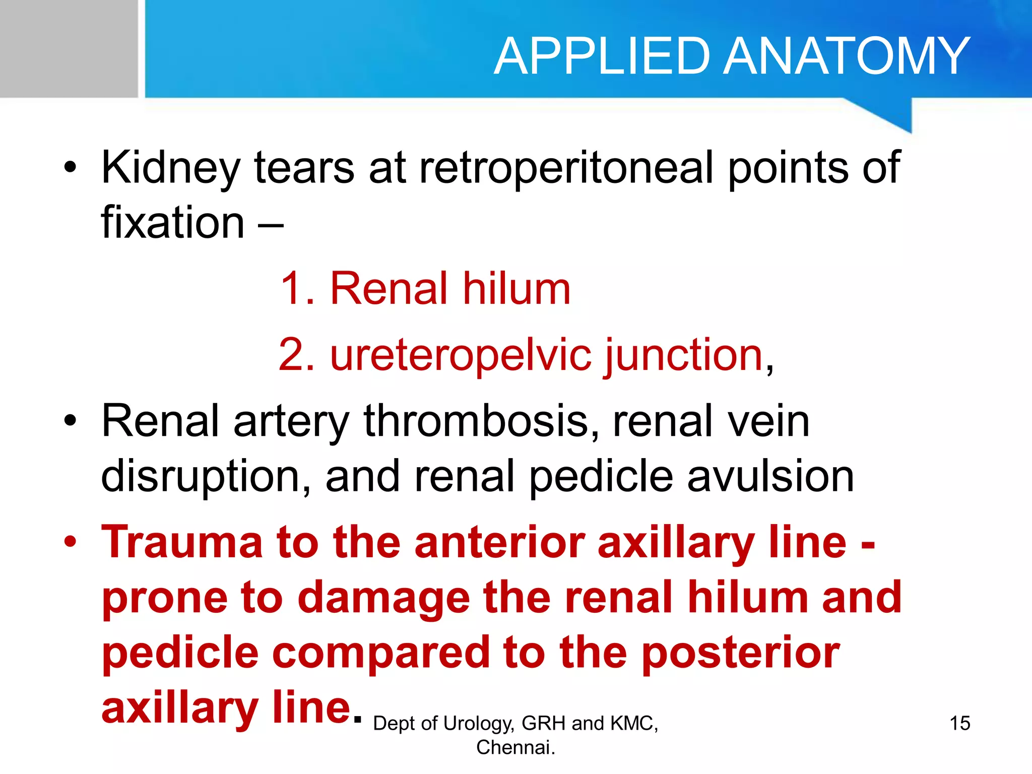 ANATOMY OF GENITOURINARY TRACT | PDF
