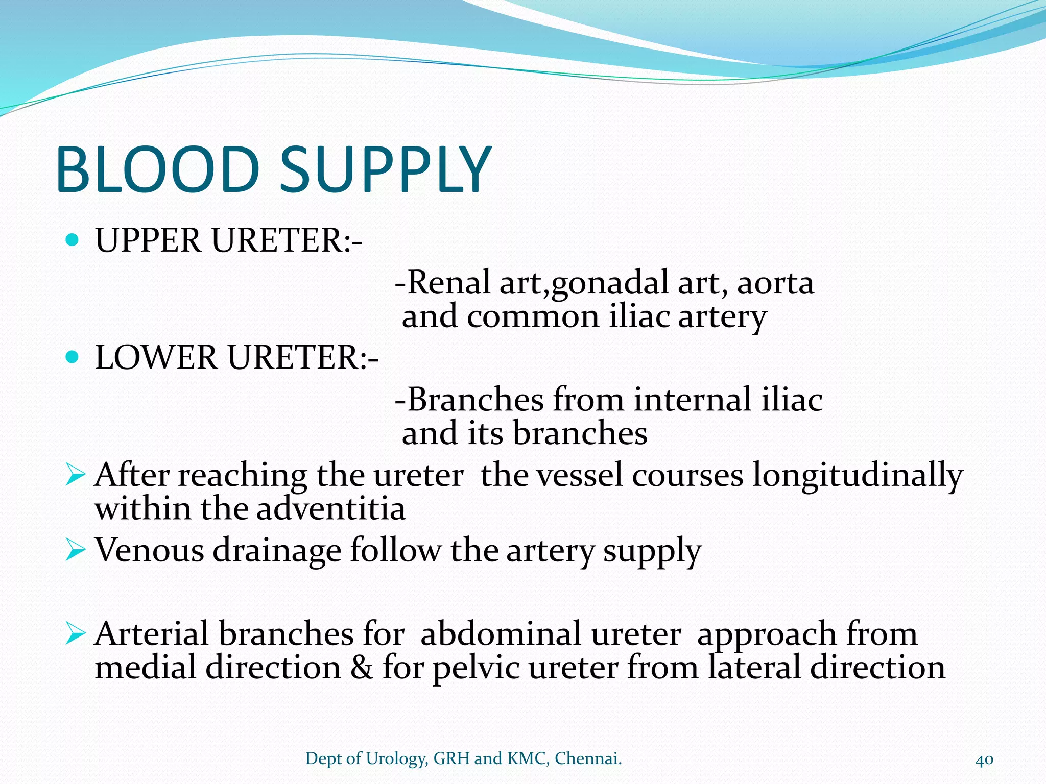 ANATOMY OF UPPER URINARY TRACT | PDF