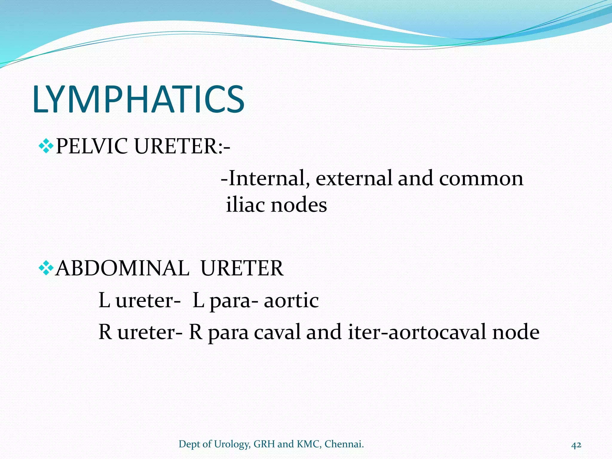 ANATOMY OF UPPER URINARY TRACT | PDF