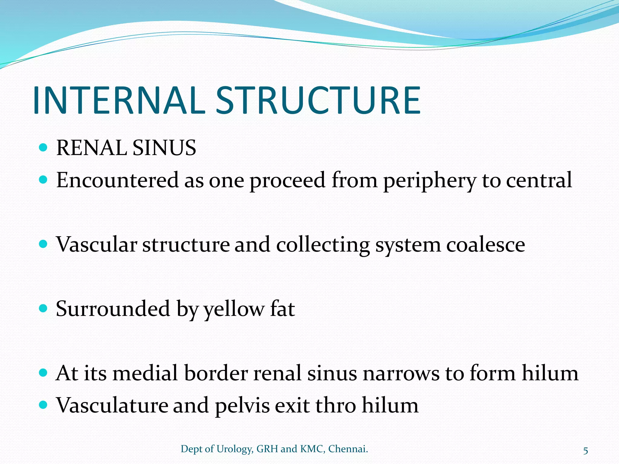 ANATOMY OF UPPER URINARY TRACT | PDF