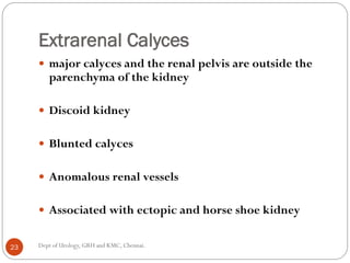 ANOMALY OF COLLECTING DUCT | PPT