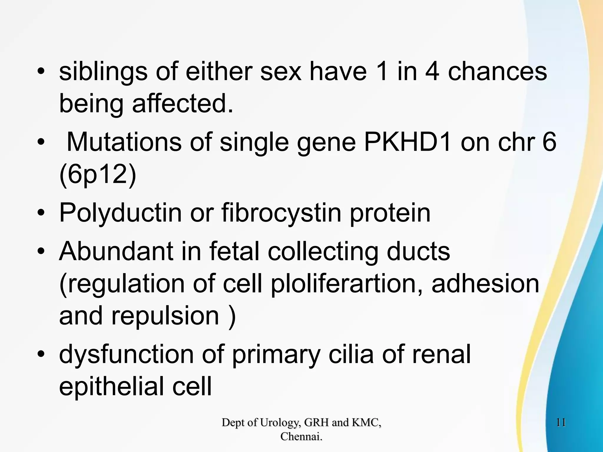 Renal cystic disease -2 | PDF