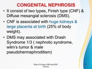 Renal cystic disease -2 | PDF