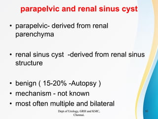 Renal cystic disease -2 | PDF