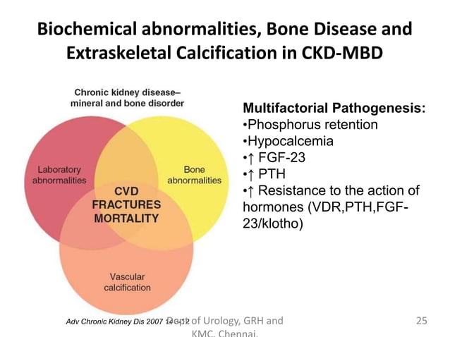 Chronic Kidney Disease | PDF