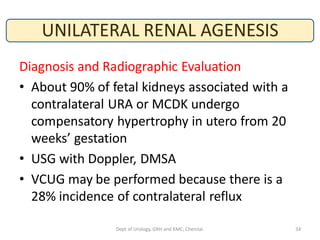 Congenital anomalies of kidney. | PDF
