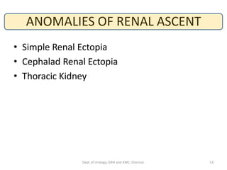 Congenital anomalies of kidney. | PDF